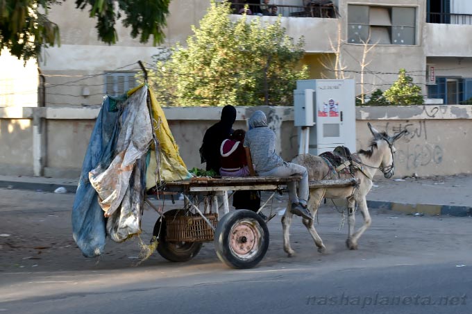 Old Town and El Dahar market in Hurghada: description and reviews ...