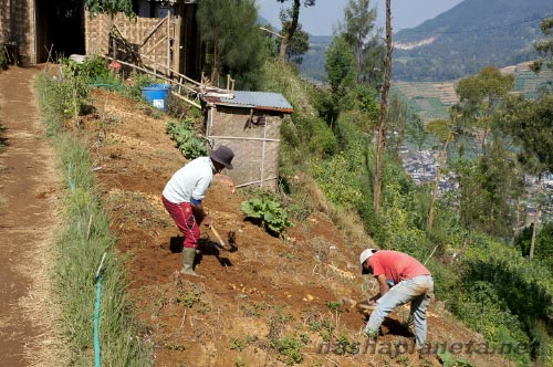 Guide to the Dieng Plateau in Indonesia