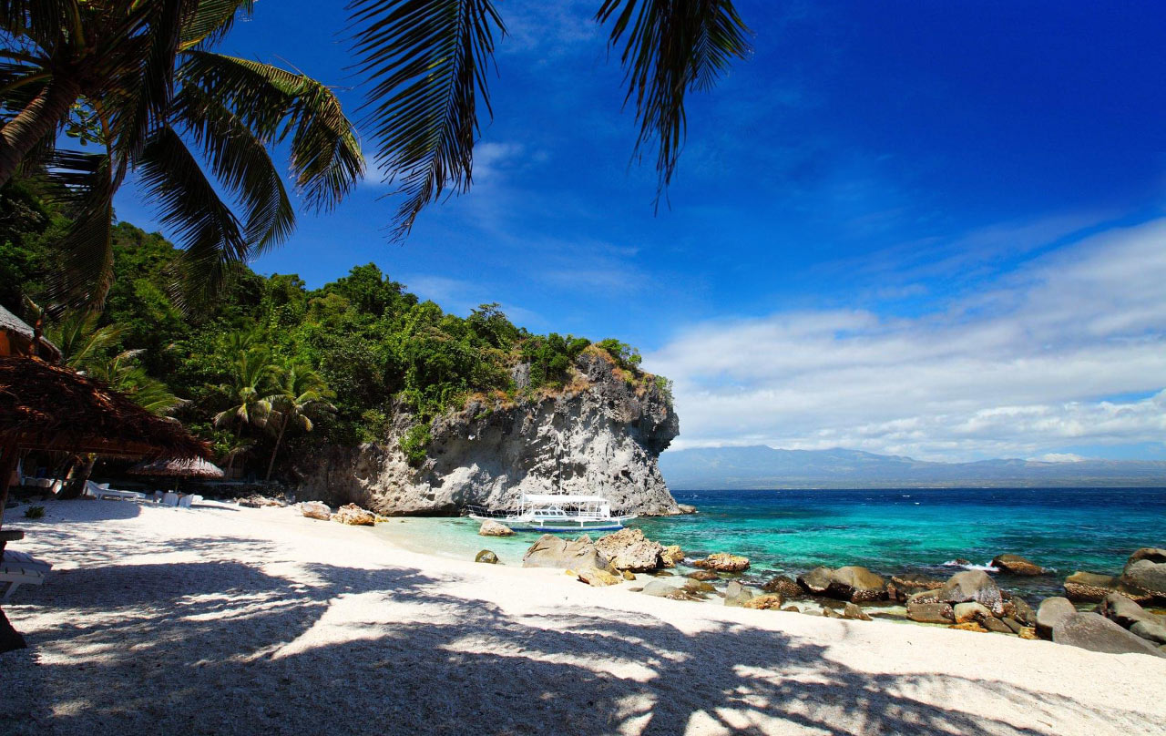 Apo Island Philippines Apo Island Philippines