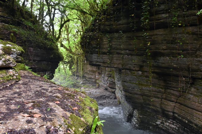 Small Khashupse Canyon in Abkhazia in 2026 (with opening hours, cost ...