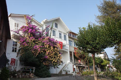Heybeliada island in Istanbul and how to visit it yourself