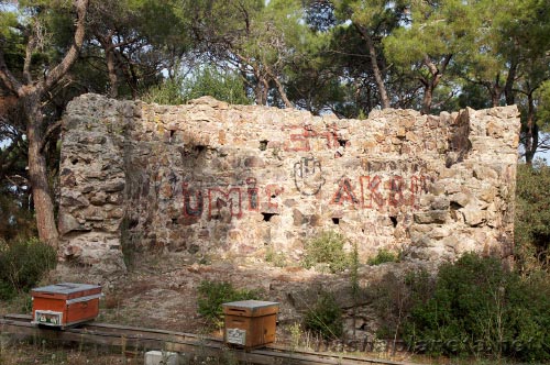 Heybeliada island in Istanbul and how to visit it yourself